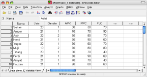 SPSS Data Entry: Panduan Input, Transformasi, dan Analisis Data – Blog Eris